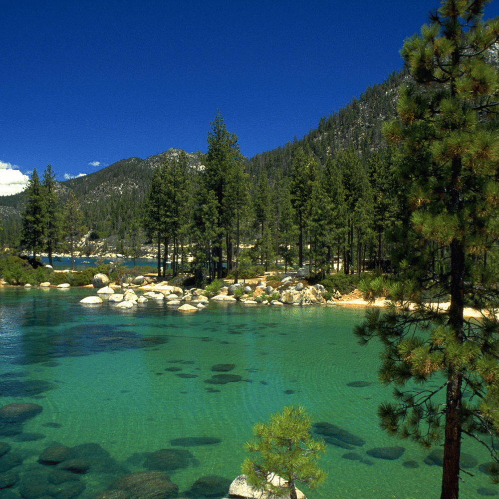 Local Area Bundles – Tahoe Bear Box